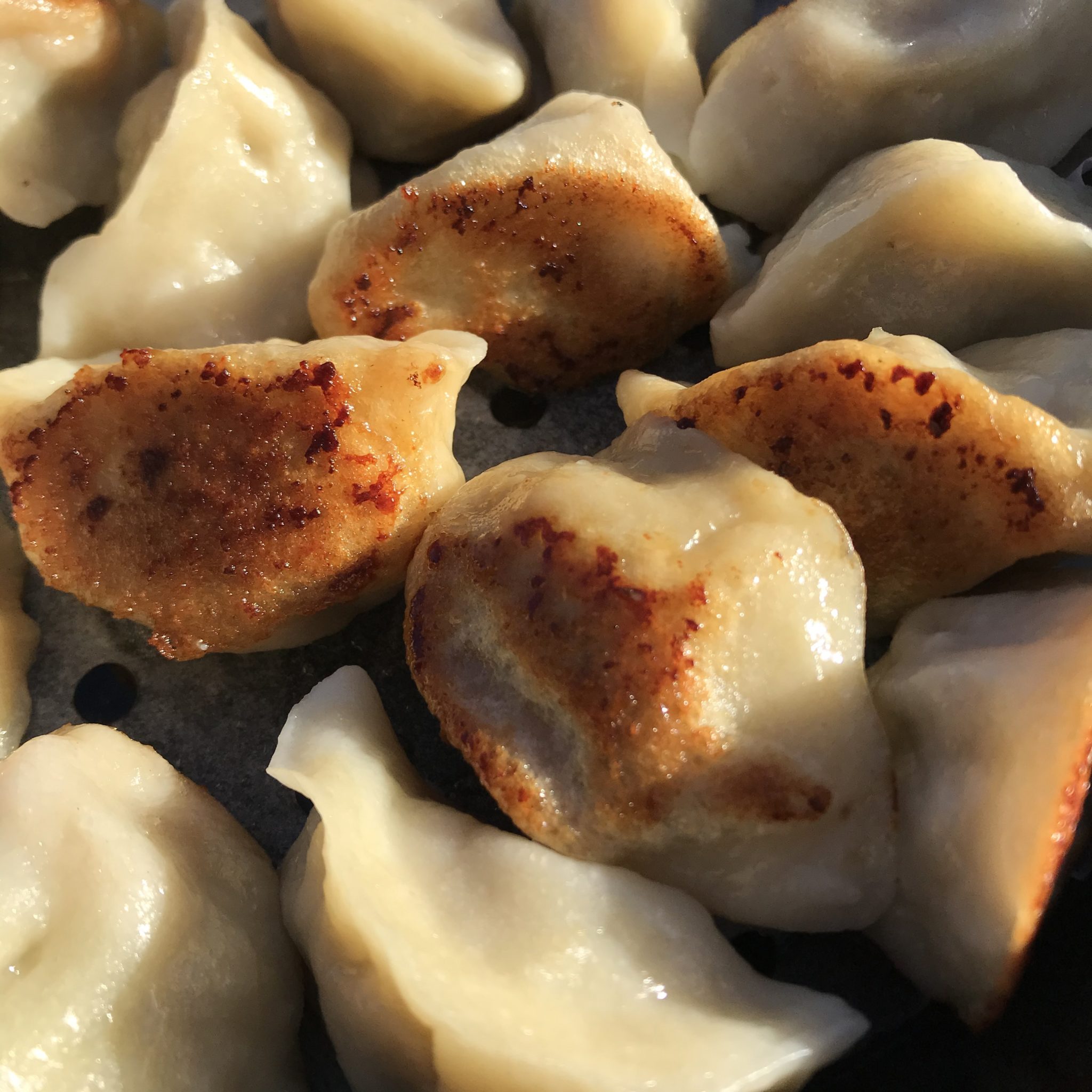 Dumpling? Dumpling! - Eat This Town - Ottawa